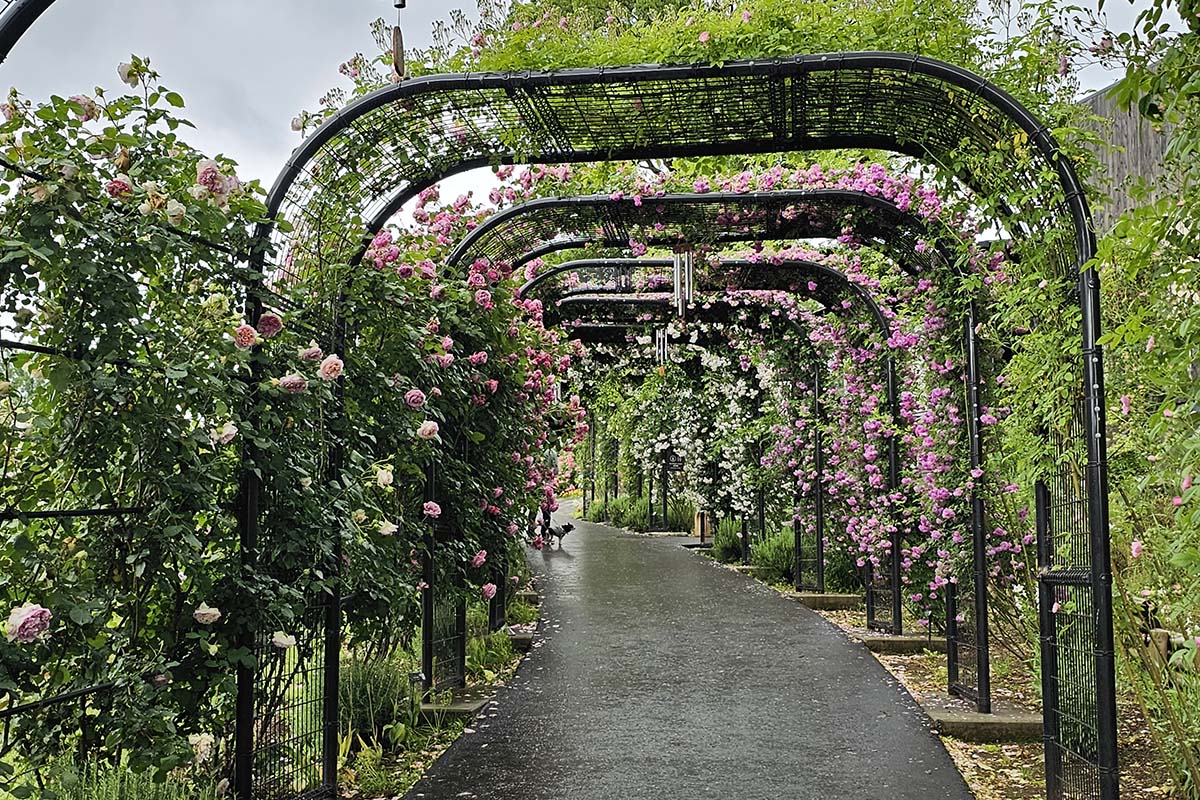 Ibaraki Flower Park - JP Connection