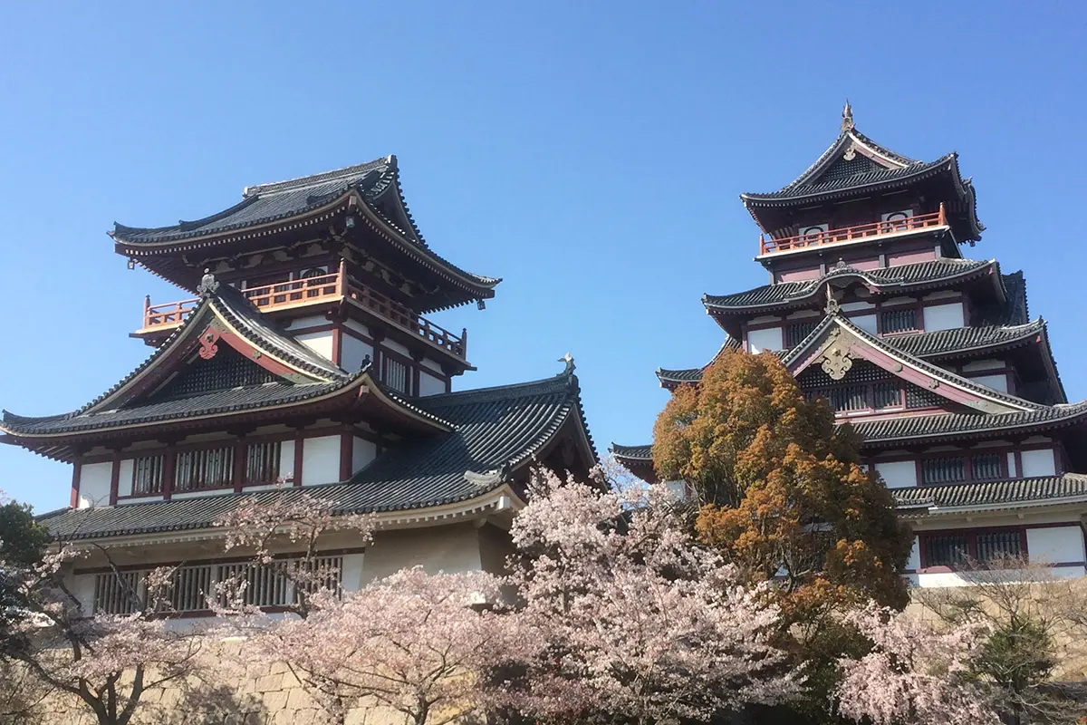 Fushimi Momoyama Castle - JP Connection
